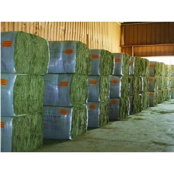 Cheap Top Quality Alfafa Hay For Animal Feeding Stuff Alfalfa,Hay ...