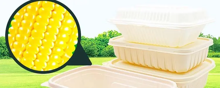 Custom Compostable Hot Food Takeaway Containers by PLALEAVES