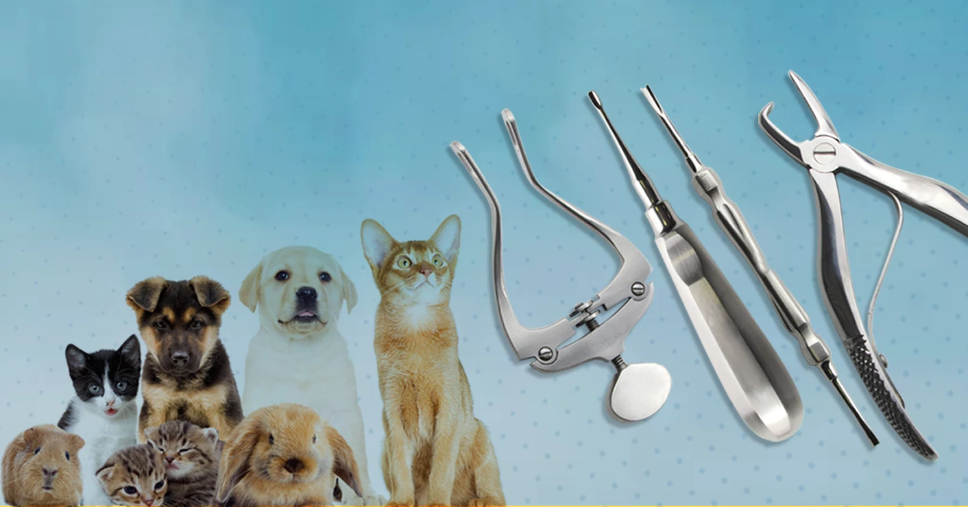 Veterinary Stomach Pump Animal Cattle Sheep Cow Horse Cattle Drench ...