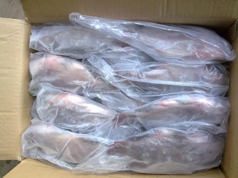 Frozen Pangasius Slice Head Cut In A Half 100% Natural | Vietnam Food ...