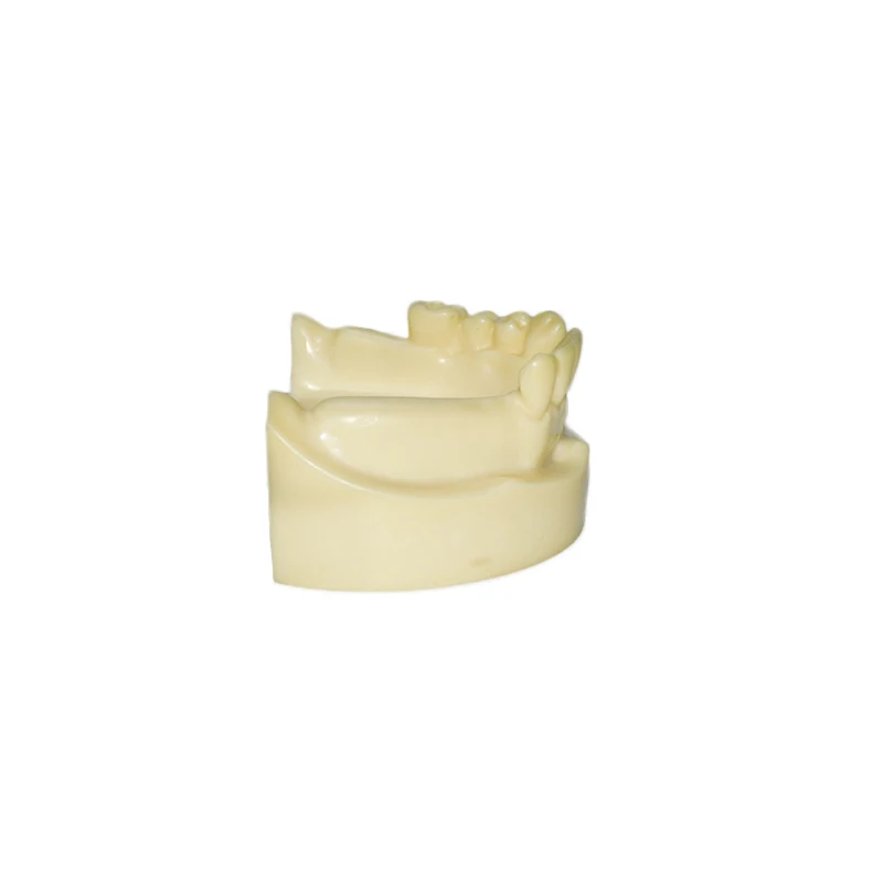 Artificial Bone Dental Implant Model for Teaching Purposes