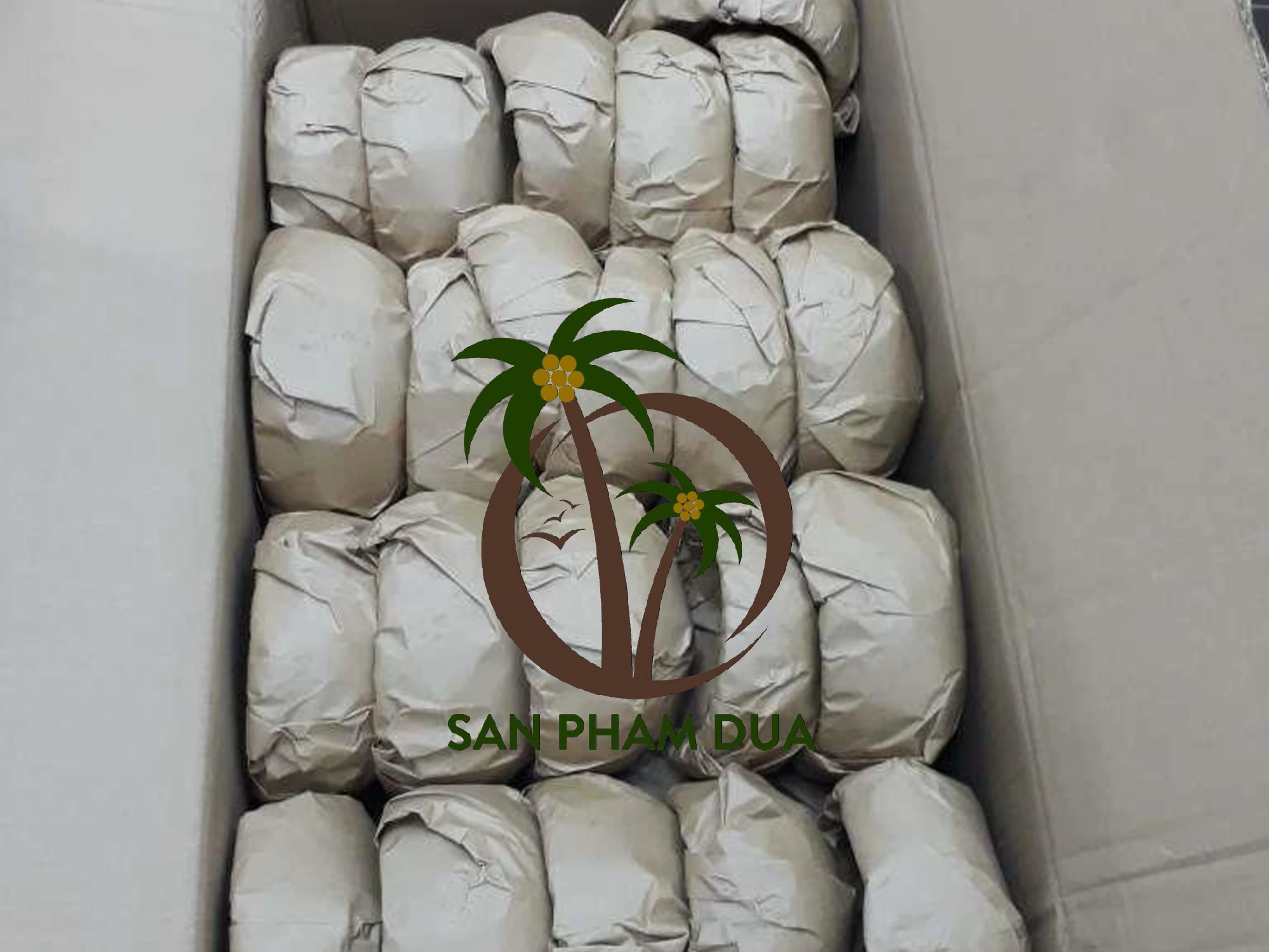 Coco Pot Coconut Fiber Coconut Planter Pot/biodegradable Coconut Pots ...