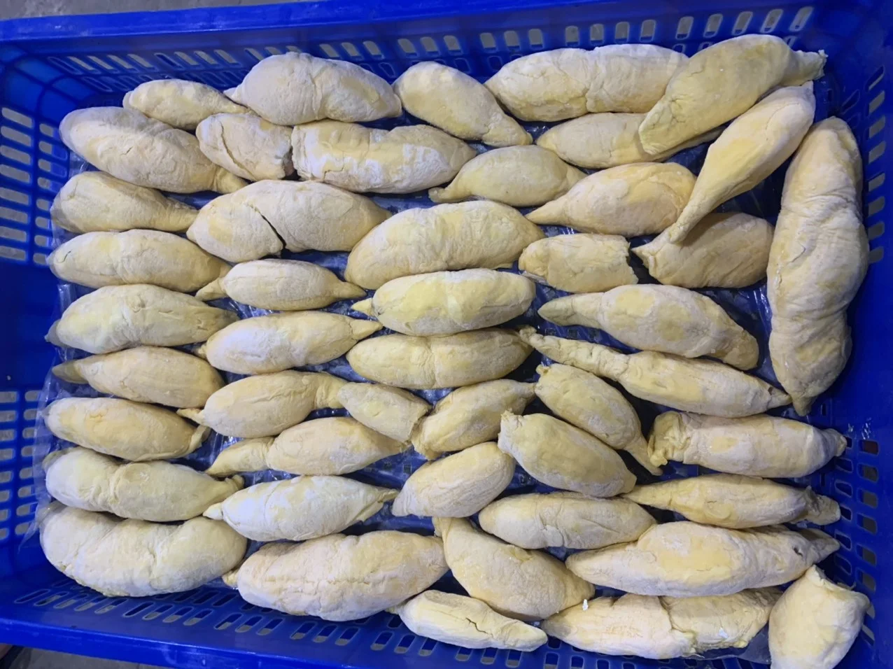 Fresh/frozen Durian High Quality New Crops / Premium Frozen Durian ...