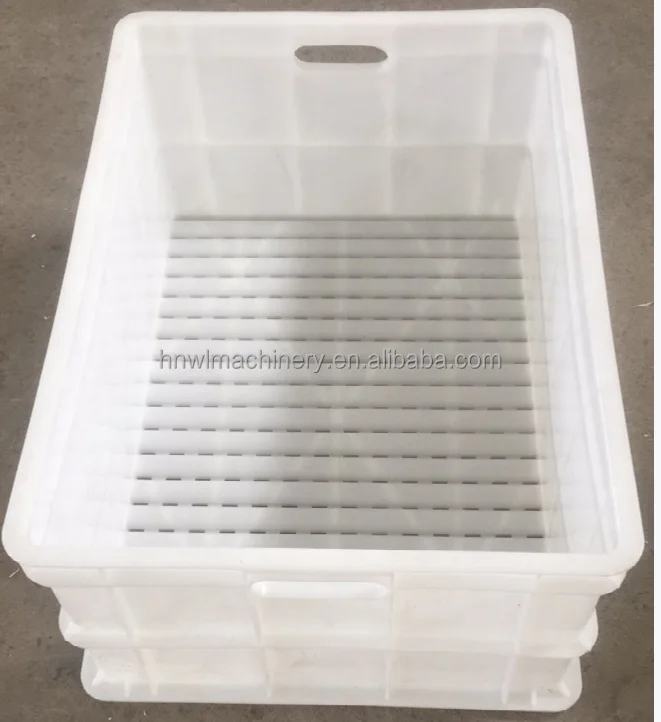 Bean Sprout Machine - Automatic Germination Equipment