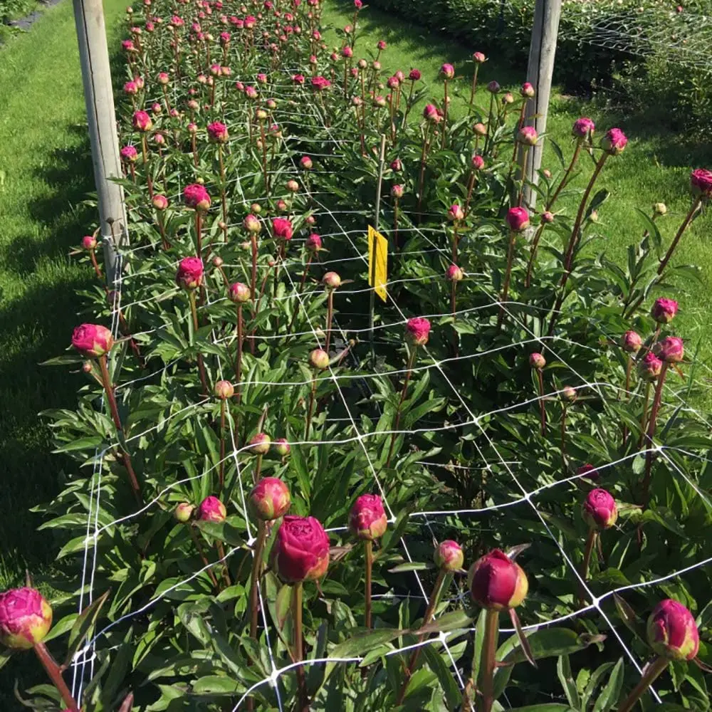 Horizontally Vertically Plastic Nets Durable Long-lasting Polyethylene ...