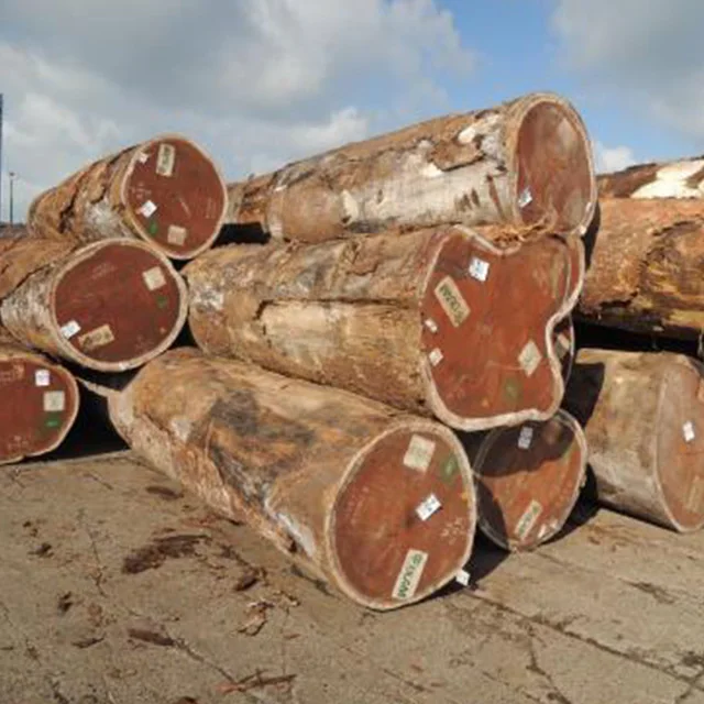 Square Timber Fresh Wood/timber/ Log In Our Forest Cutting Iroko - Buy ...