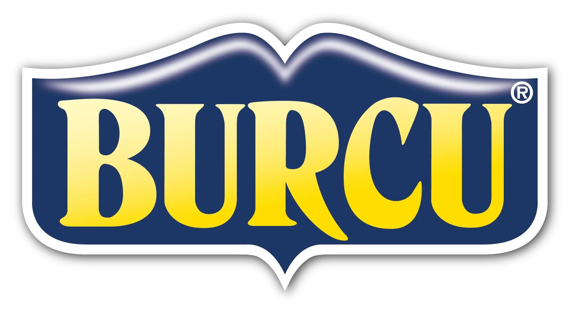 Company Overview - BURCU KONSERVECILIK DIS TICARET ANONIM SIRKETI