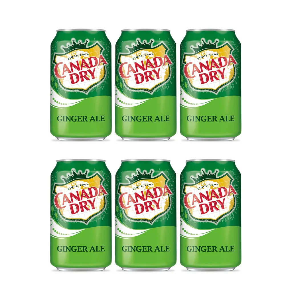 Canada Dry Ginger Ale 16 Fl Oz (355 Ml) - Buy Canada Dry Ginger Ale ...