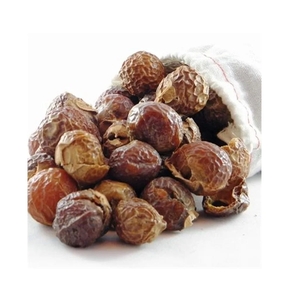 Alibaba.com: Organic Sapindus Mukorossi Fruit Extract, natural soap nut ...