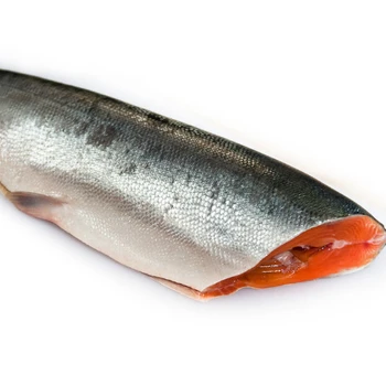 Iqf Salmon Fillets,Salmon Belly From Brazil With Haccp Certificate ...