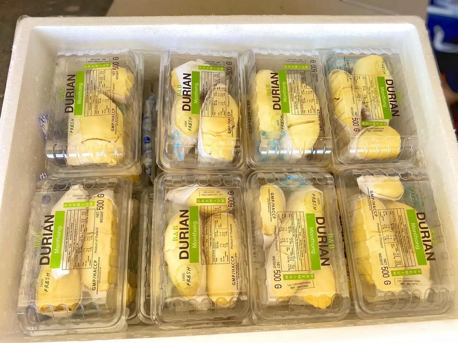 Premium Quality Fresh Durians Durian Frozen Durian From Thailand ...