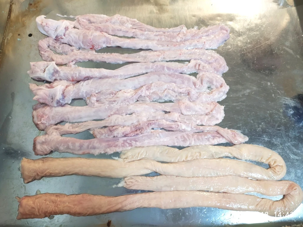 Premium Quality Frozen Pork Intestine Best Green Runner Casing for Sale ...