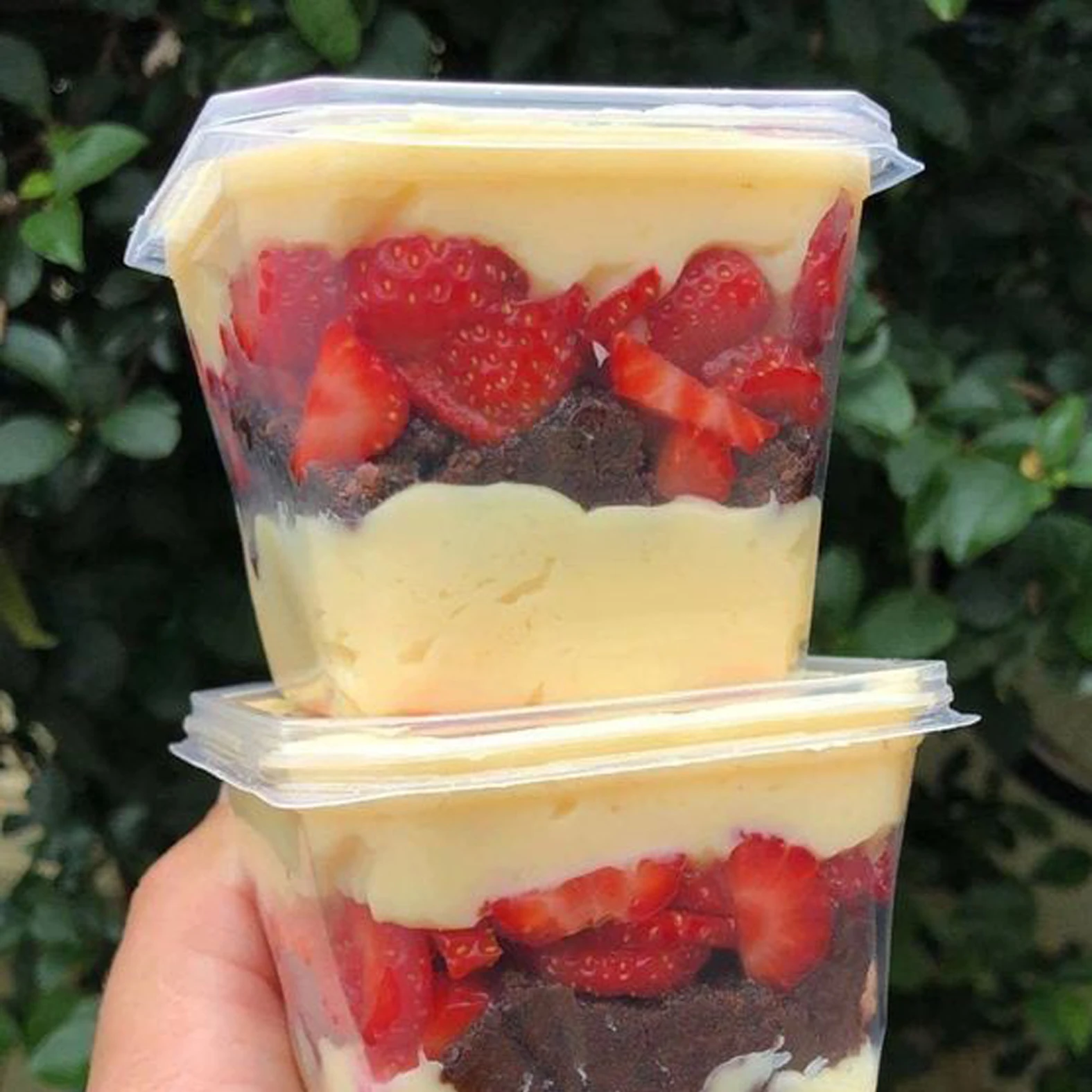 Transparent Sweet Candy Disposable Plastic Containers