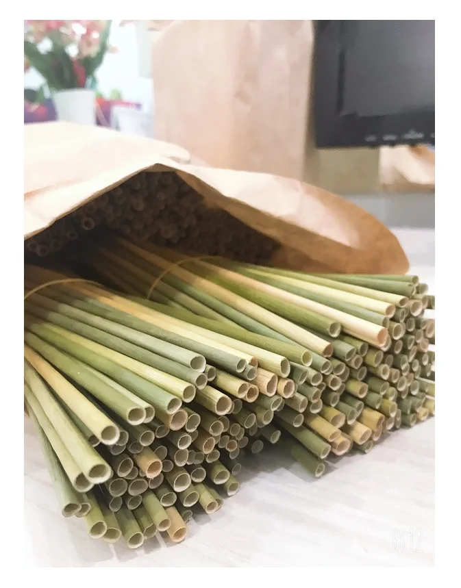 Eco-friendly Disposable Grass Straw - Eco Friendly Straw - Fuszal ...