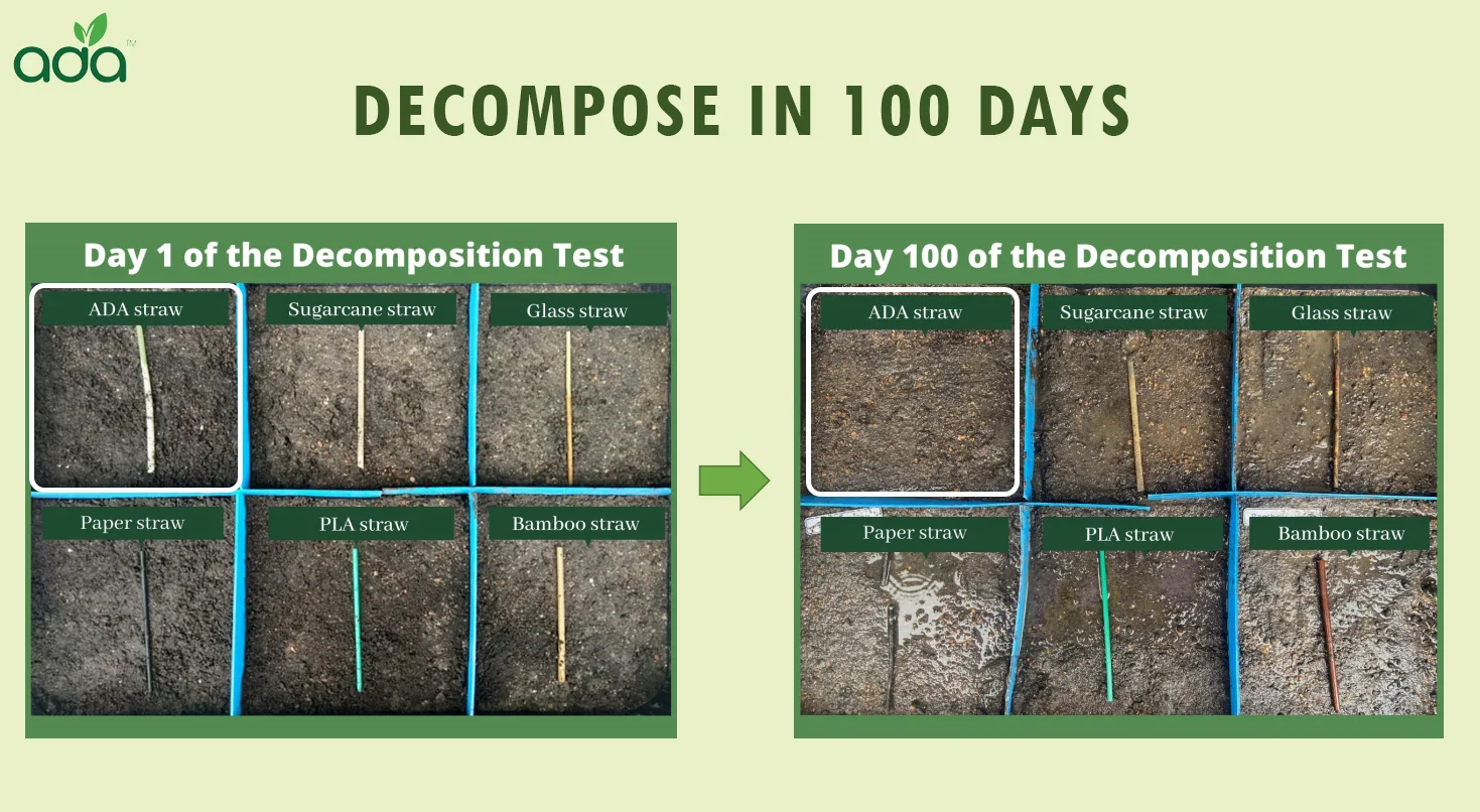 Eco-friendly Rice Tapioca Straws - Biodegradable & Natural