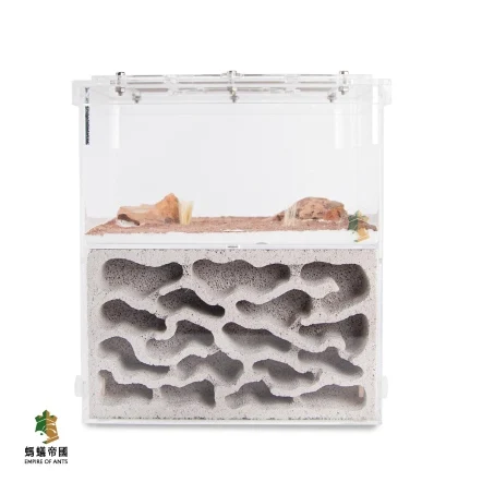 Wilderness Red Sand Ant House - Sustainable & Stylish