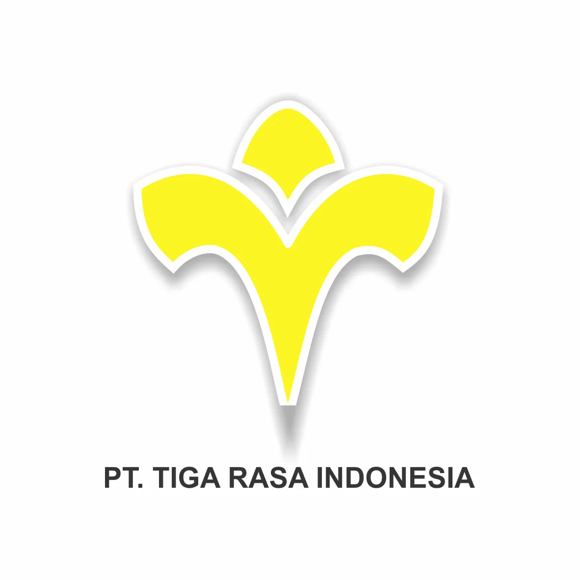 Company Overview - PT. TIGA RASA INDONESIA