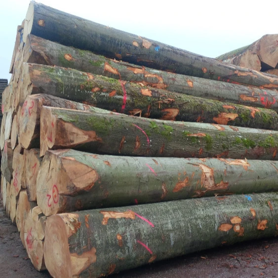 German beech logs| Alibaba.com