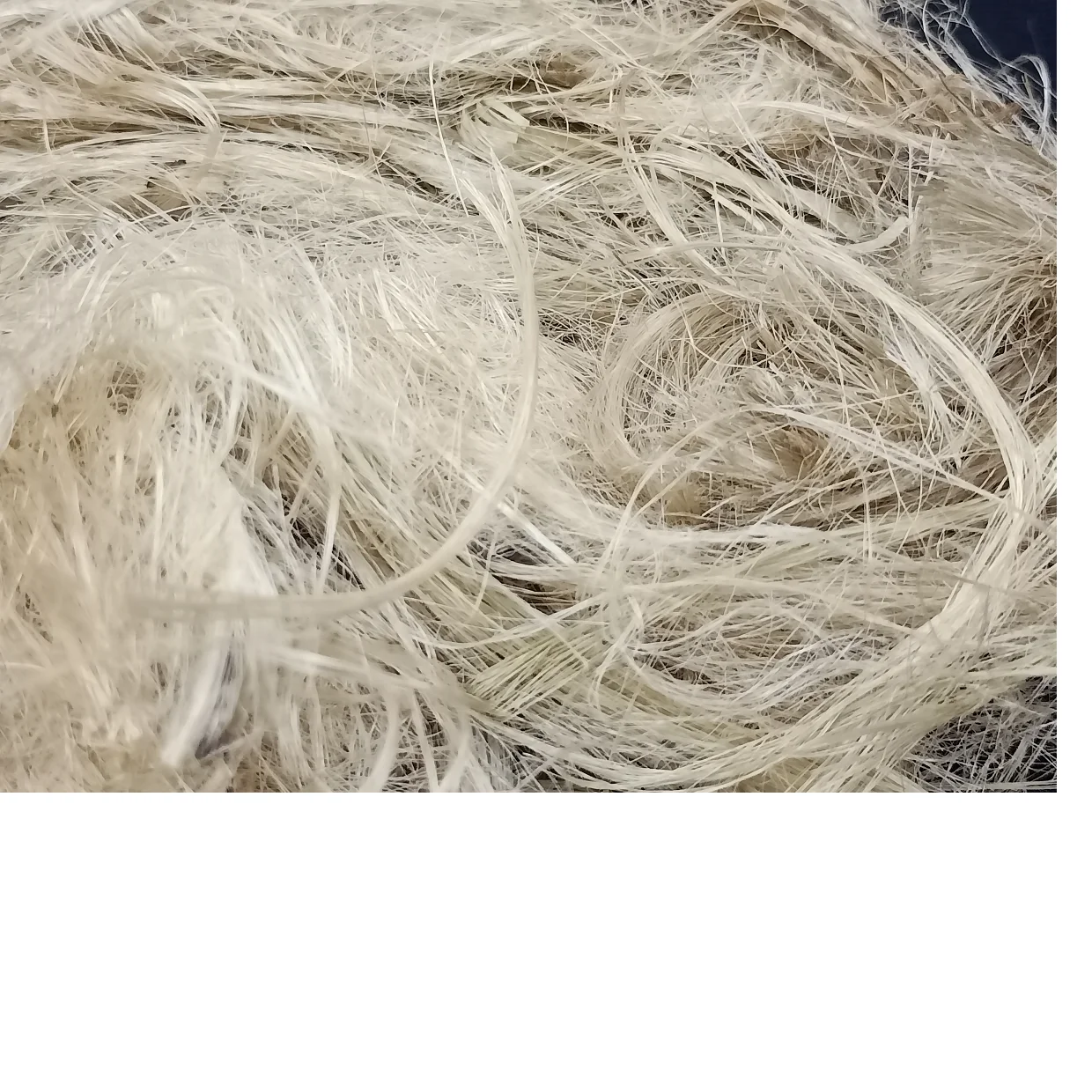 Natural Jute Fiber Cut In Size 6m Suitable For Textile Spinning And ...