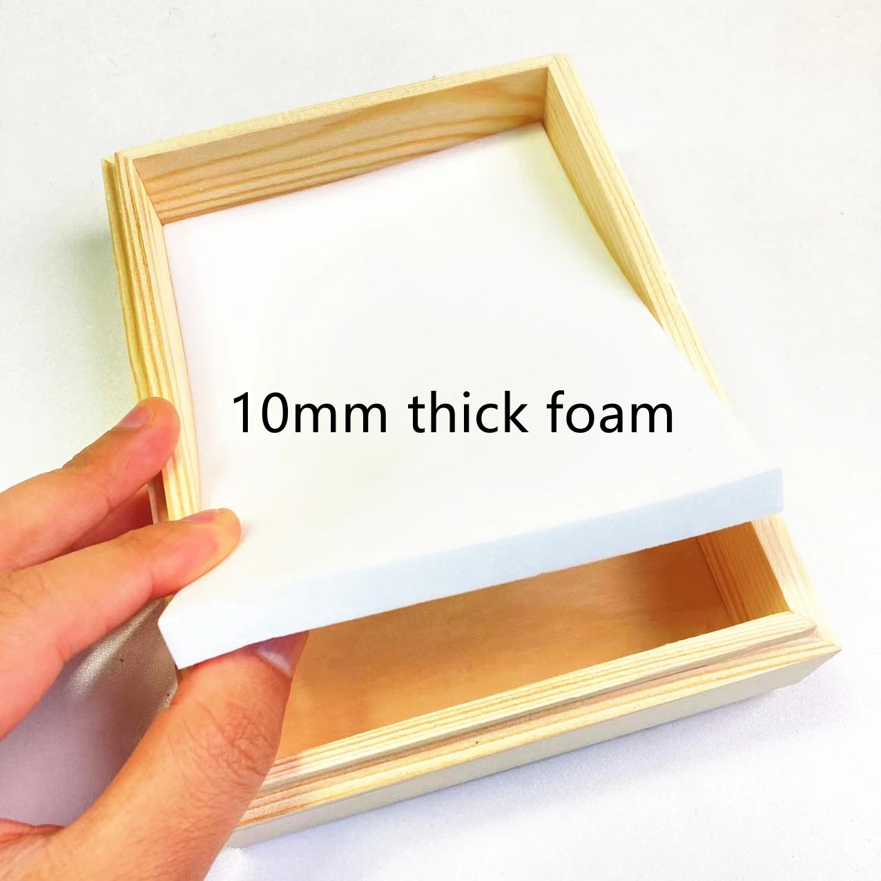 Entomological Boxes - Premium Display Solutions