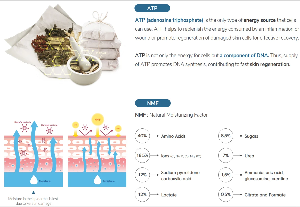 M-kin Atp พลังงานชีวภาพแพ็คหน้ากาก - Buy M-kin Atp Biological Energy ...