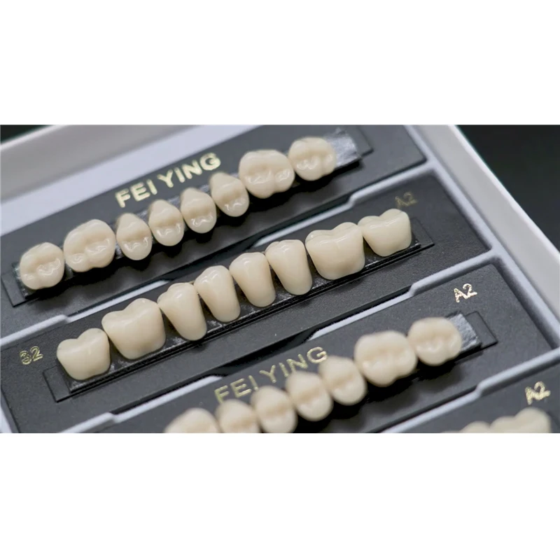 Feiying Dental Acrylic Resin Teeth - High Quality Dentures