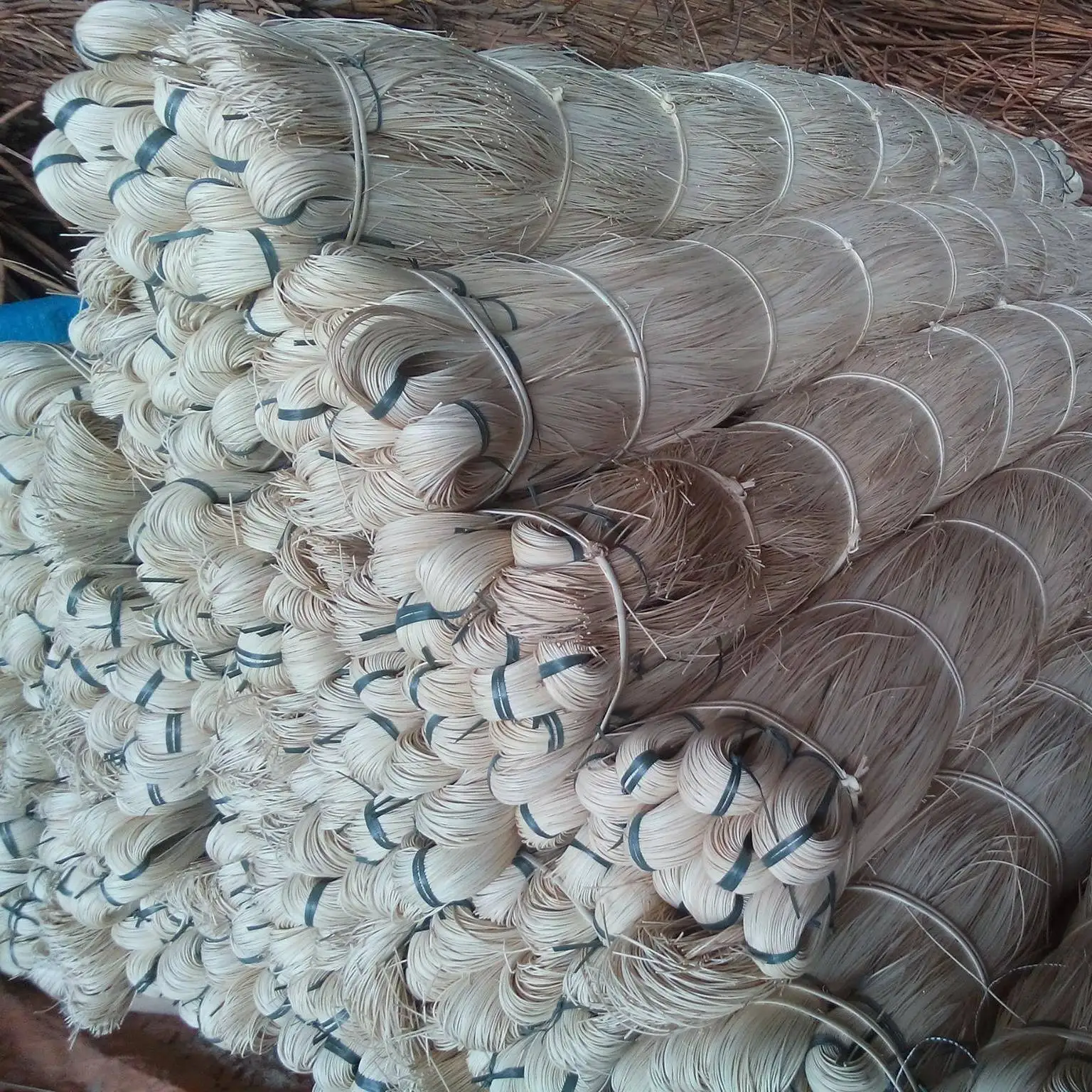 Customized Size Rattan Core Bleached Oval Rattan Core High Quality ...