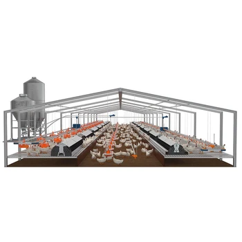 Chicken Farm Building Semi Control Shed Chicken House Quail Butchery ...