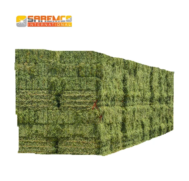 High Quality Premium Rhodes Grass Hay Bales For Animal Feed And Forage ...