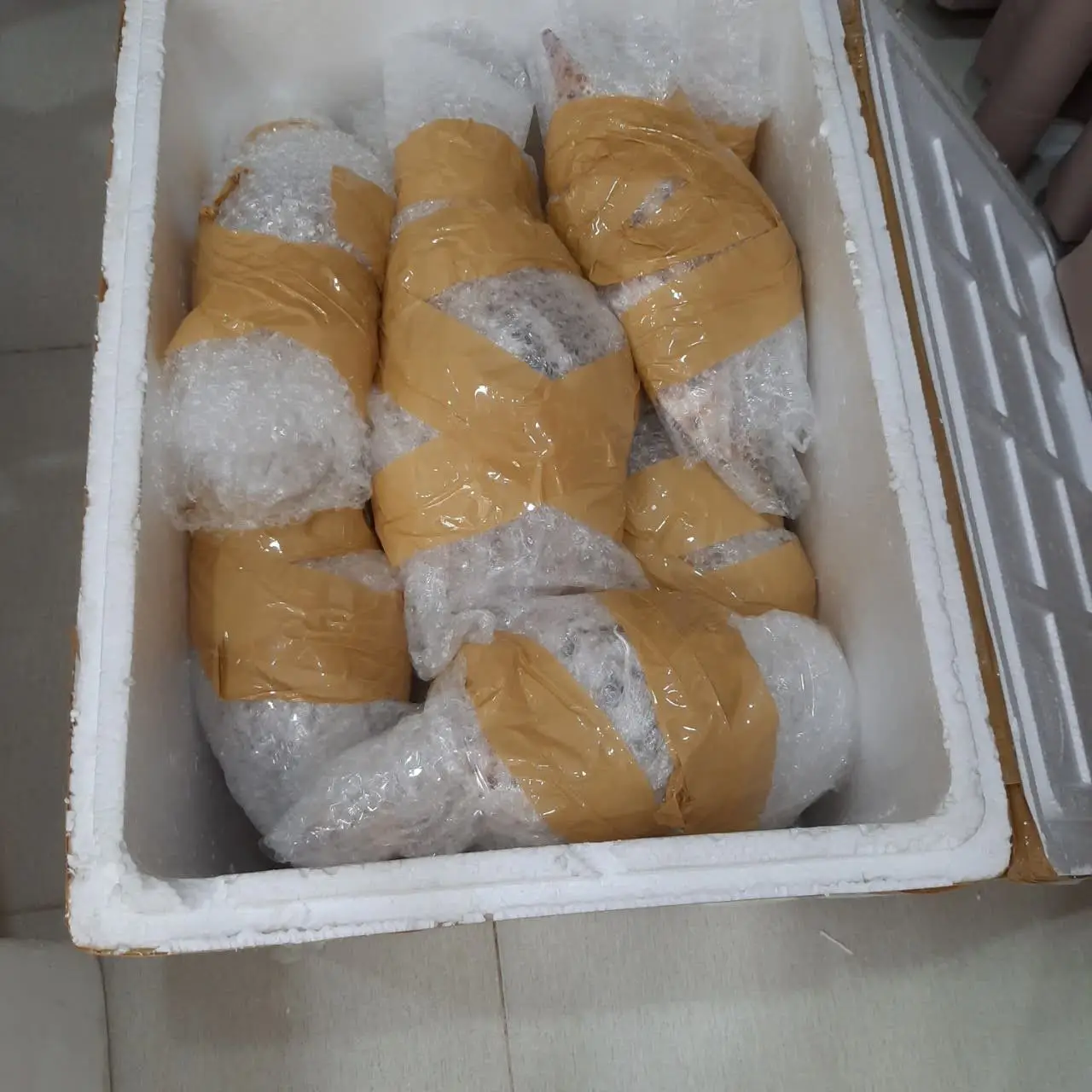 Rare Sea Shells For Sale - Big Stock In Vietnam - Buy Sea Shells Sea ...