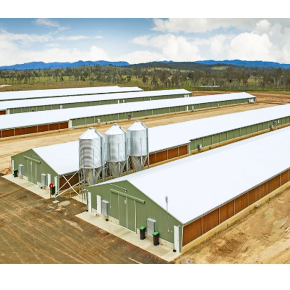 Mechanized Chicken Coop Mobile Layer Feed Chicken Poultry Abattoir ...