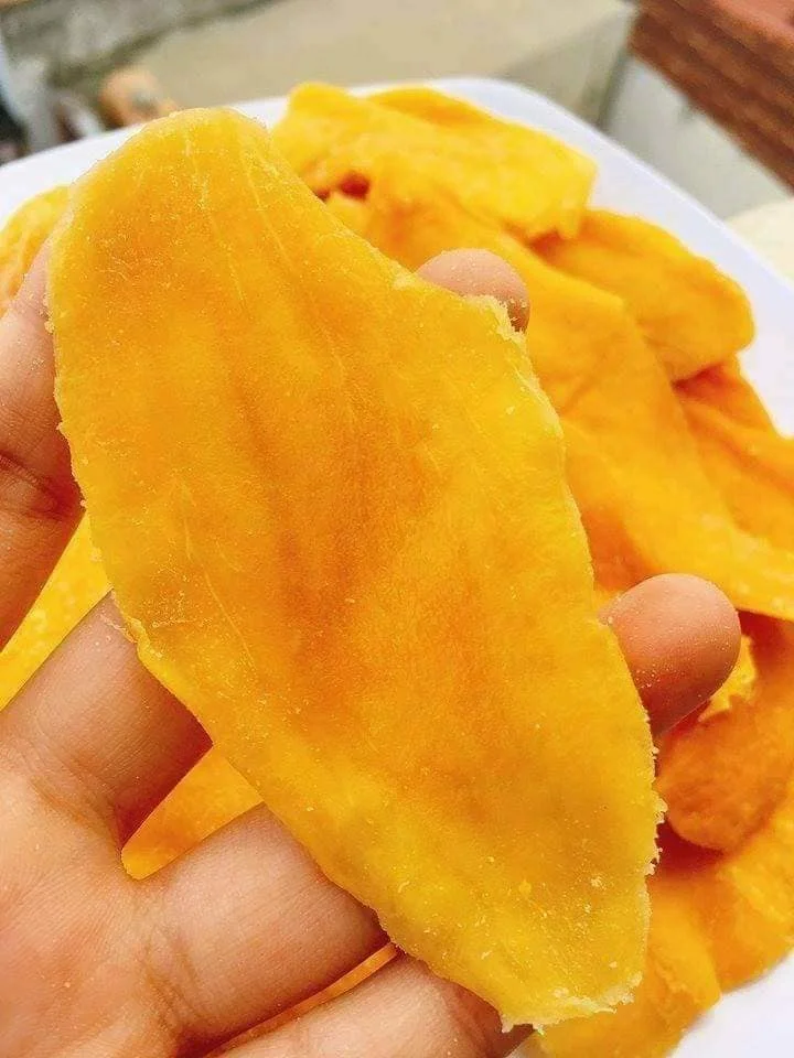 Golden Fruit Snacks Soft Dried Mango Exclusive Soft Mango Selection ...