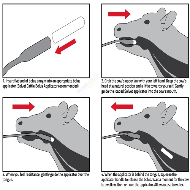 Wholesale Professional High Quality Magnet Balling Gun For Cow Bolus ...