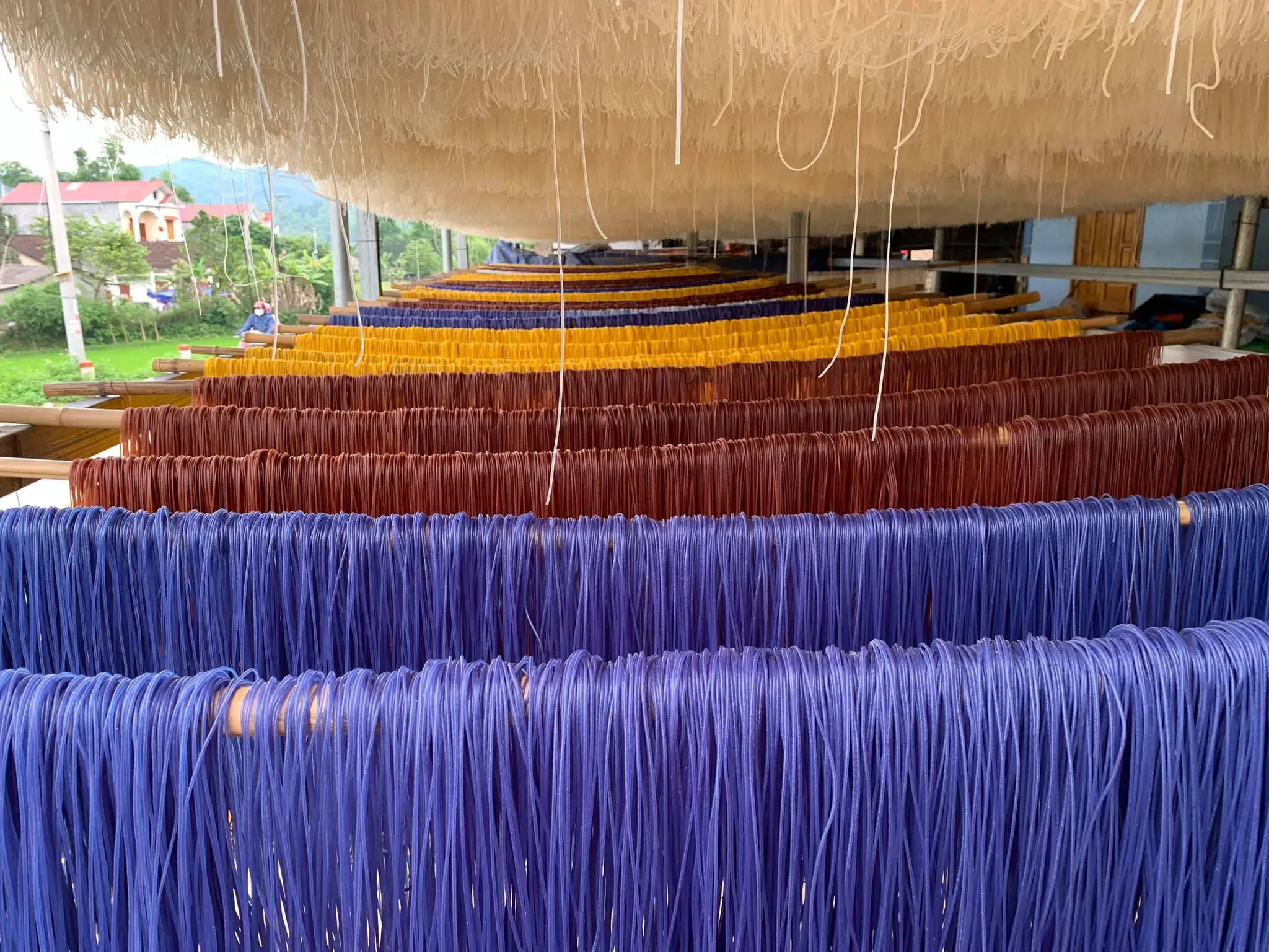 2022 Vietnam Five-Color Rice Noodles - Multicolor Vermicelli