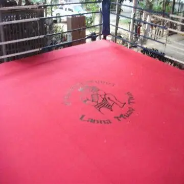 Custom Logo Printing Boxing Ring Canvas Cover Floor Boxing Ring - Buy ...