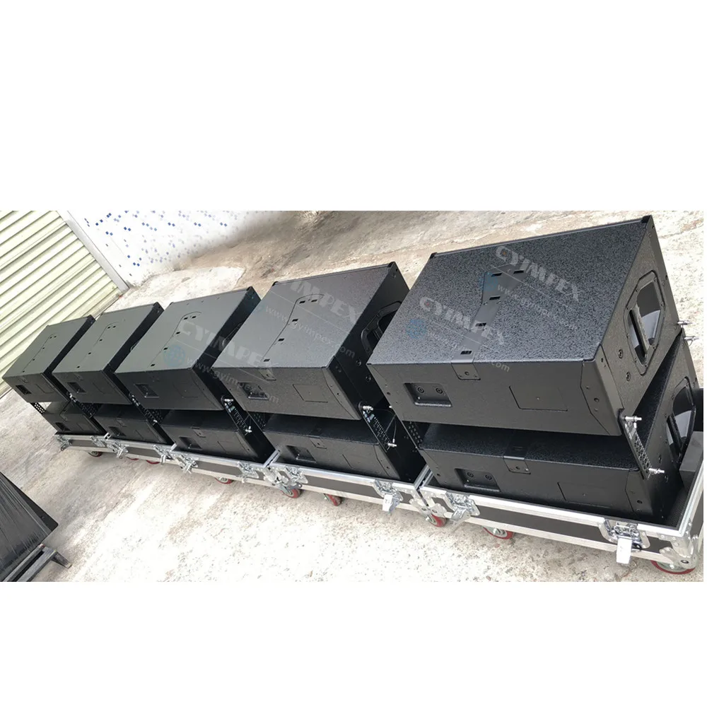 Dual 10 Inch Two Way Line Array Speaker Cabinet Box - Buy Q1 Is A Passive 2-way Loudspeaker ...