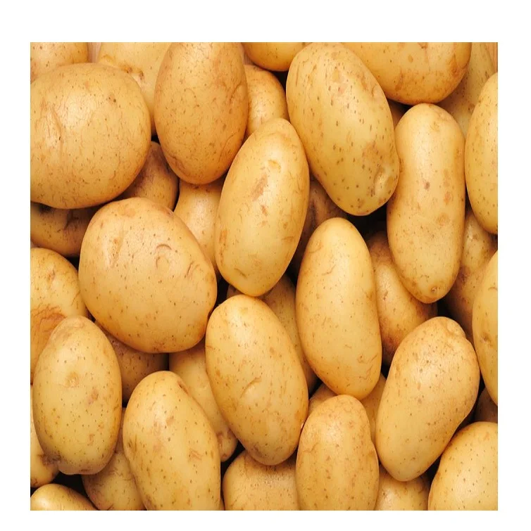 25 Kg Mesh Bags Fresh Round Potatoes,Fresh Round Potato In 25kg - Buy ...
