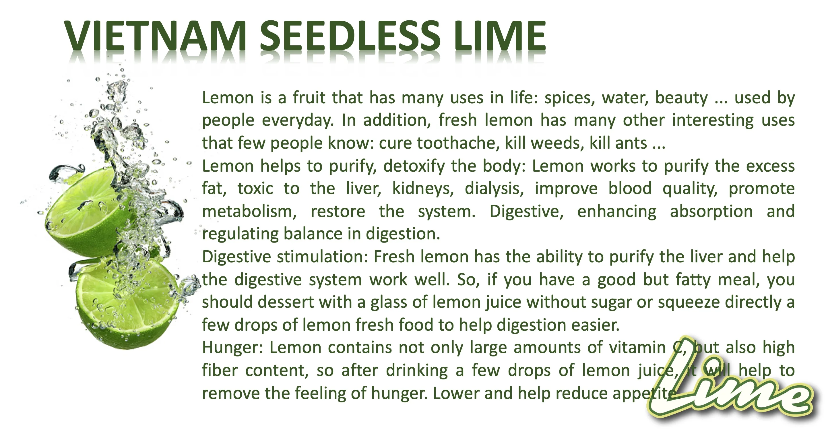 Fresh Green Seedless Lime Top Grade From Vietnam - Buy Vietnam Lime ...