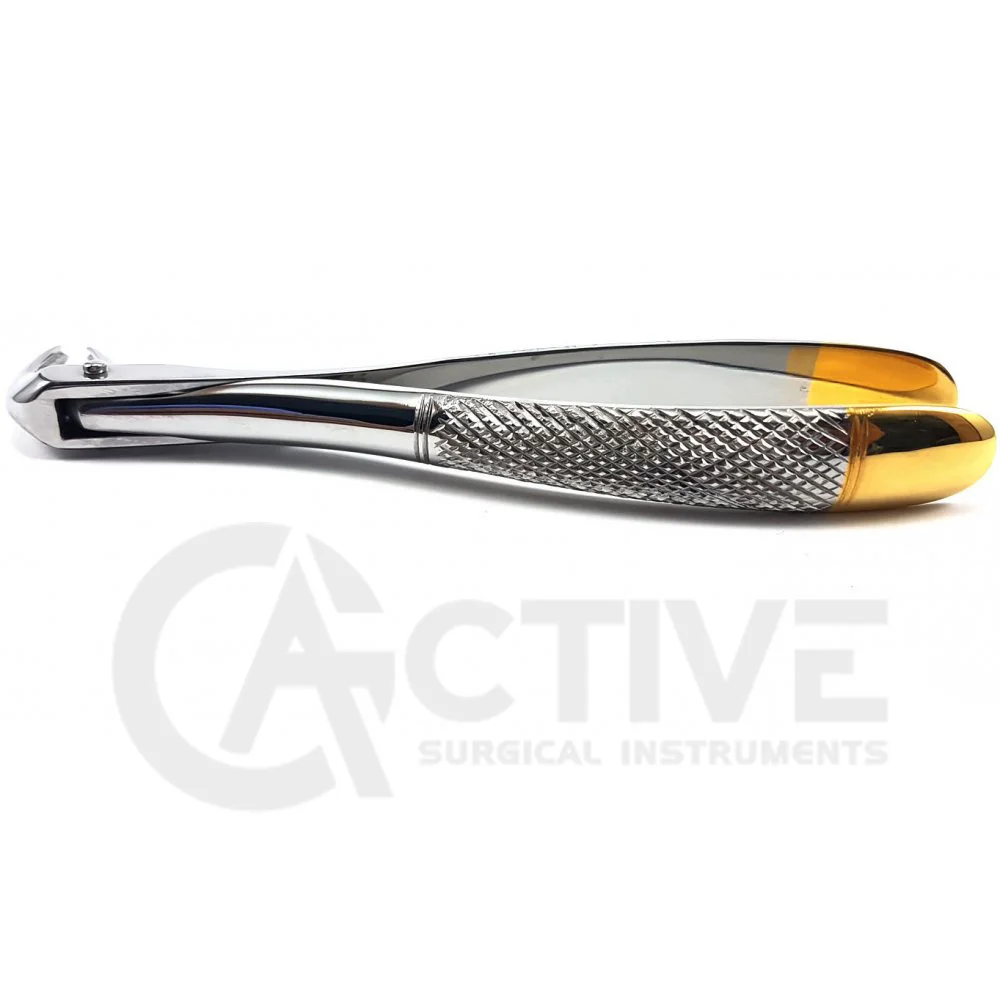 Stainless Steel Dental Extraction Forceps - ACTIVE SURGICAL INSTRUMENTS
