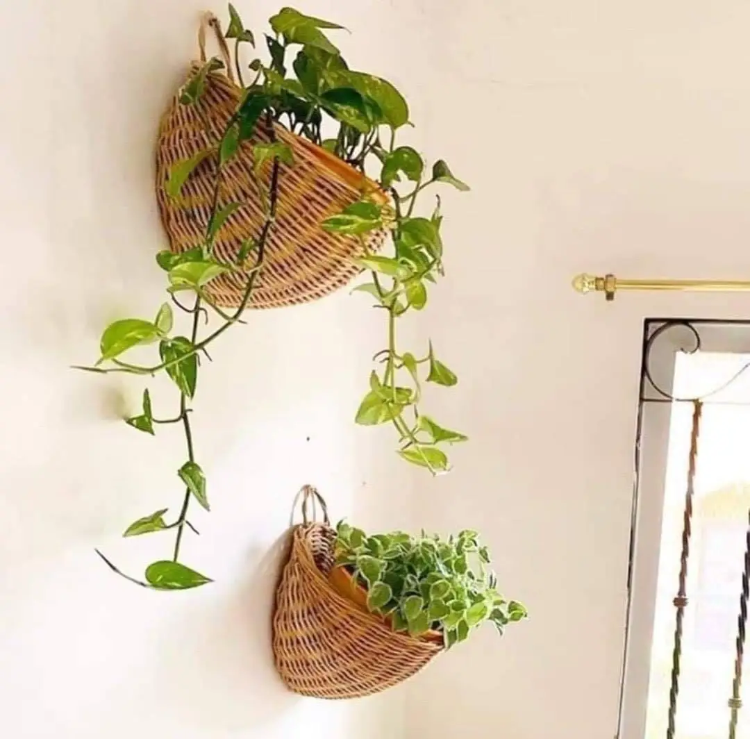 Seagrass Hanging Planter Woven Hanging Baskets Wall Decor Hanging Flower Plant Pot Planter New ...