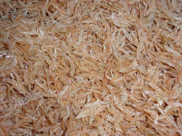 Dried Baby Shrimp Dried Small Shrimp Dried Acetes From Vietnam //ms ...