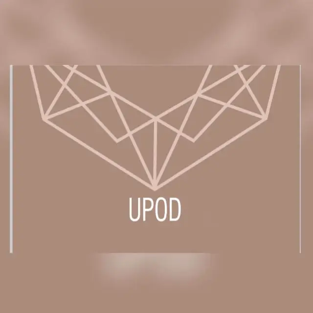 Company Overview - UPOD