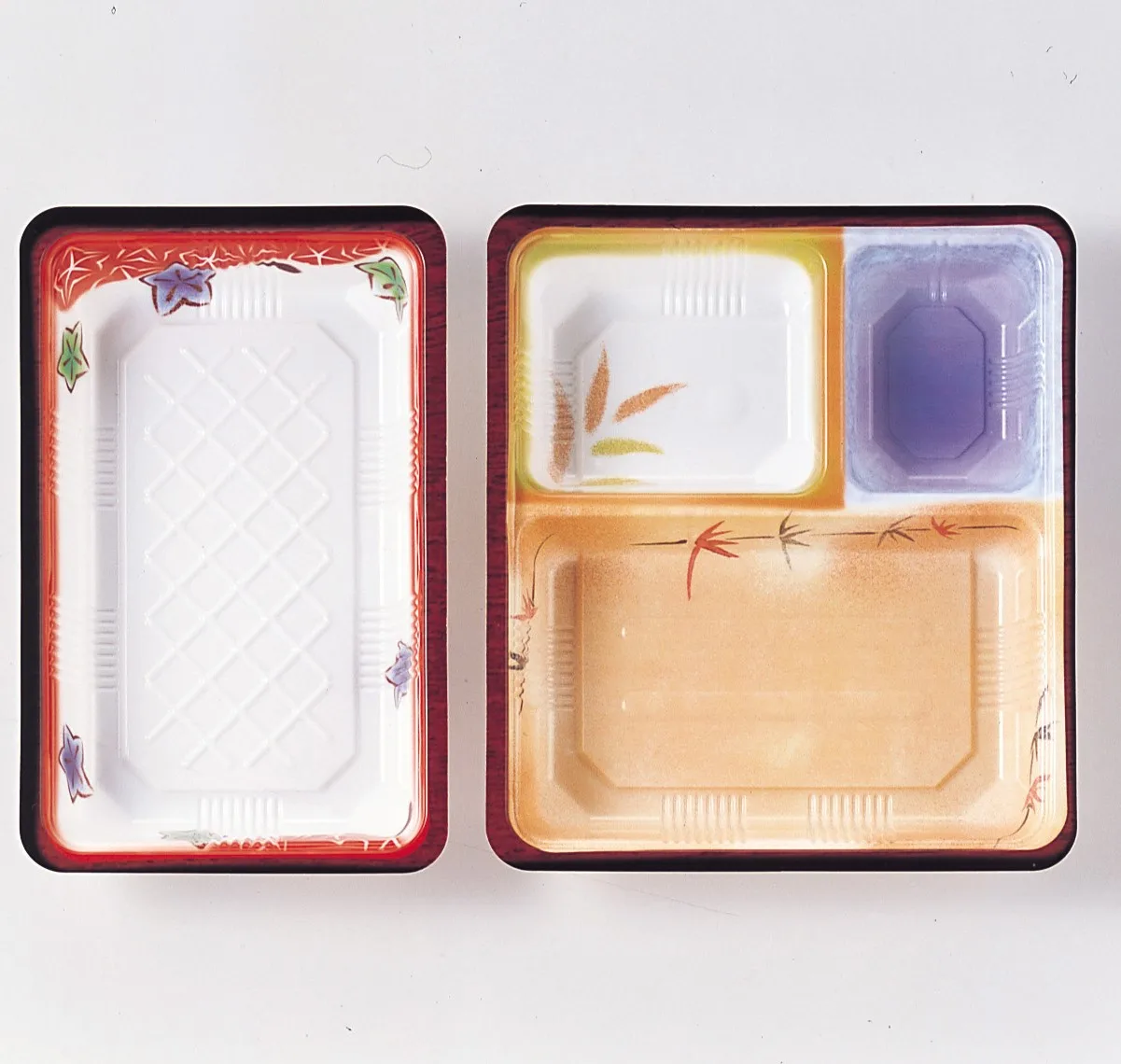Japanese Lunch Bento Boxes - Disposable & Customizable