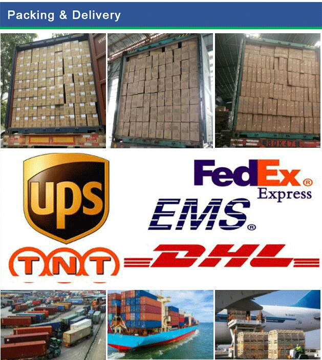 Custom Print Beach Wind Blocker Short Light Weight Beach Privacy Screen ...