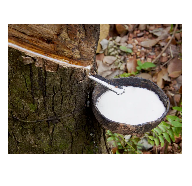 Natural Latex Rubber - Liquid Milky White Natural Rubber for Plastering ...