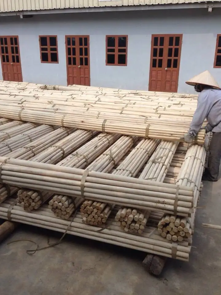 Manau Rattan Poles from Vietnam - Durable and Versatile