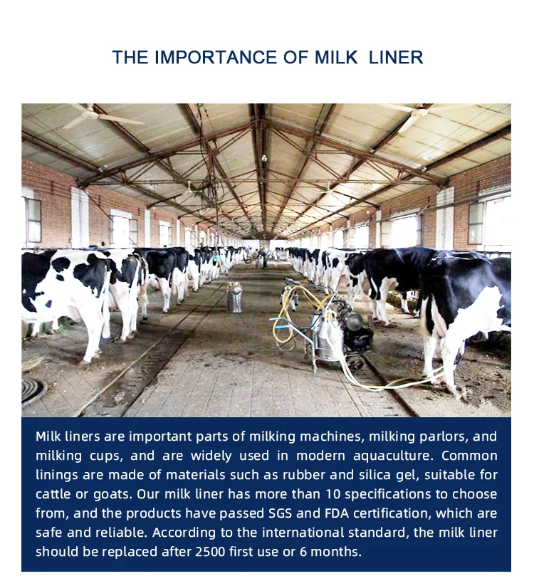 IP15 Milking Liner for Cow Milking Machine - 1 Year Warranty