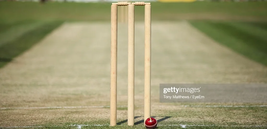 Wooden Cricket Spring Wickets - 3 Stumps & 2 Bails by Standard ...