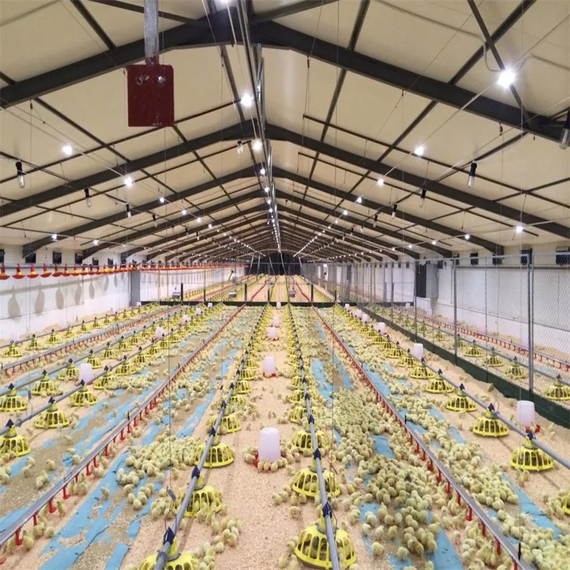 Low Cost China Made Commercial Chicken House Used - Buy Chicken Poultry ...