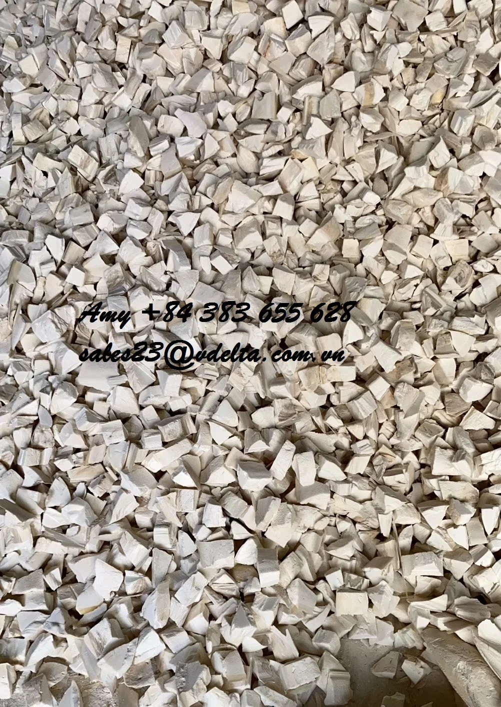 Crushed Cuttlefish Bone/ Sepia Bone Powder/ Cuttle Bone For Sales Lily ...